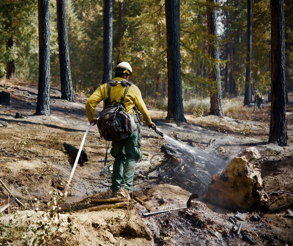 The L.A. Wildfire Cleanup Was Fast FireWise Consulting