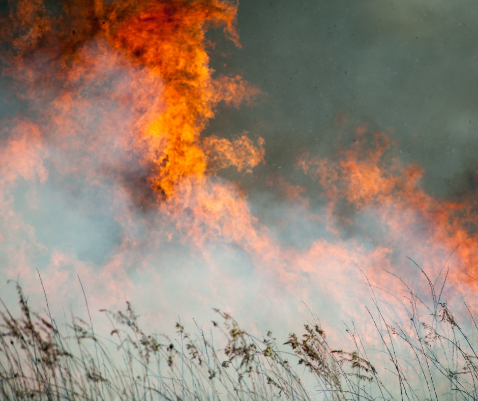 Large Wildfires Can Create Decade Long Heat Island In The Wind FireWise Consulting