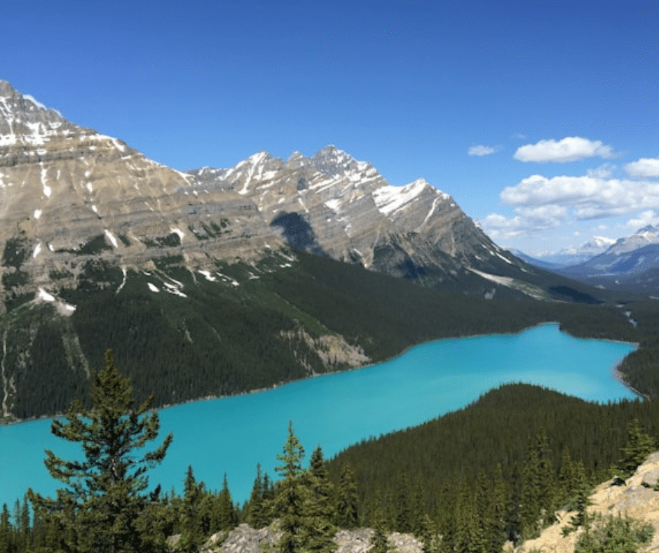 Jasper Fire The Second Costliest Fire in Canadian History FireWise ...