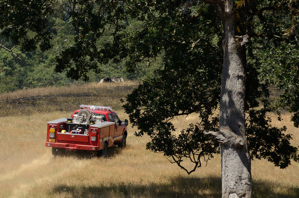 Caltech Expert Leads Presidential Report On Modernizing Wildland ...