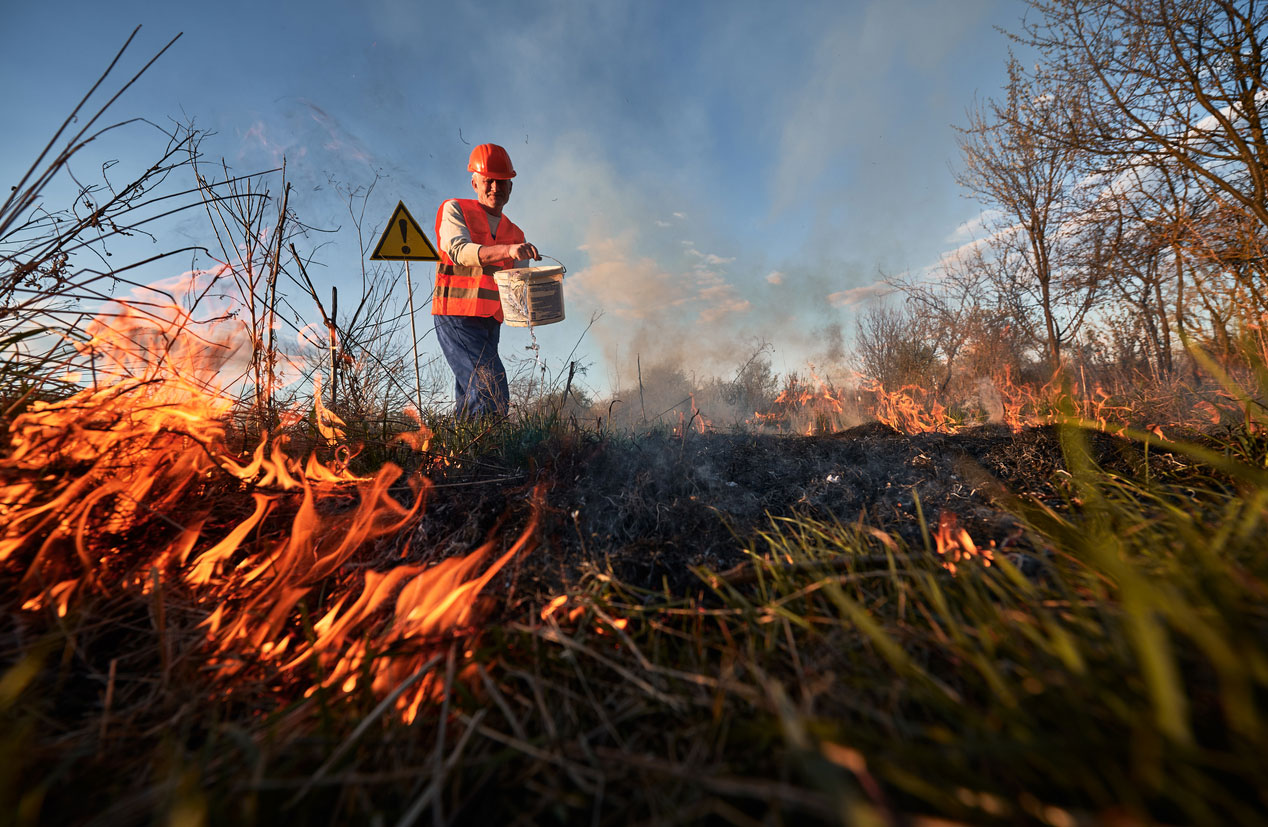 This scientist fled a deadly wildfire, then returned to study how it ...